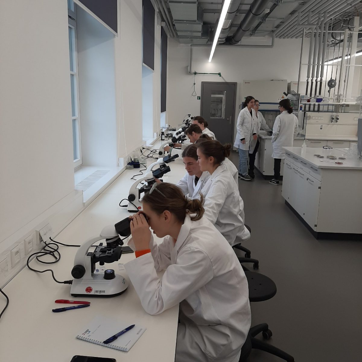 Leistungskurs Biologie und Grundkurs Bionik / Biotechnologie der ...