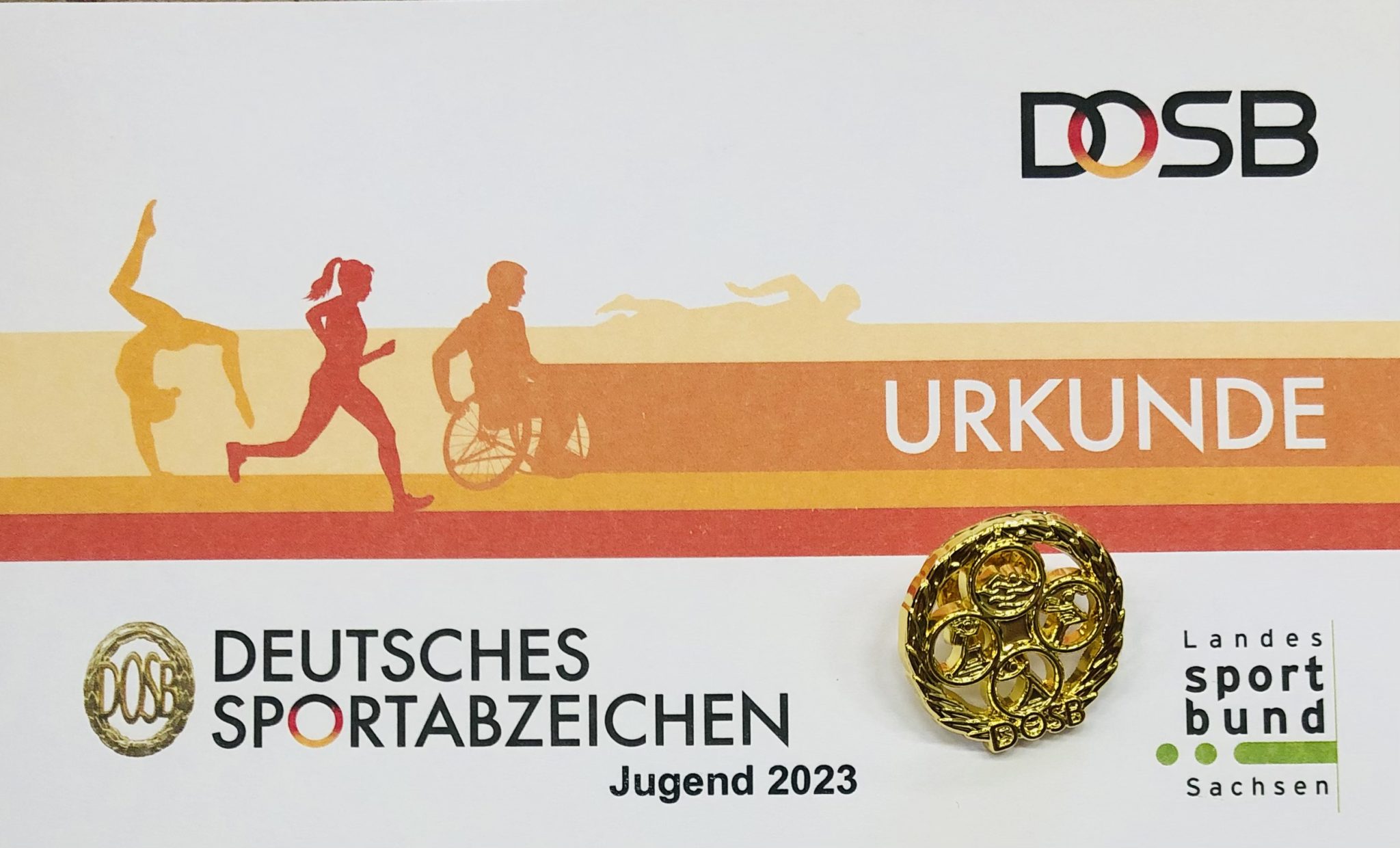 Sportprofil-Schüler legen erfolgreich das Deutsche Sportabzeichen ab - Lessing-Gymnasium Plauen